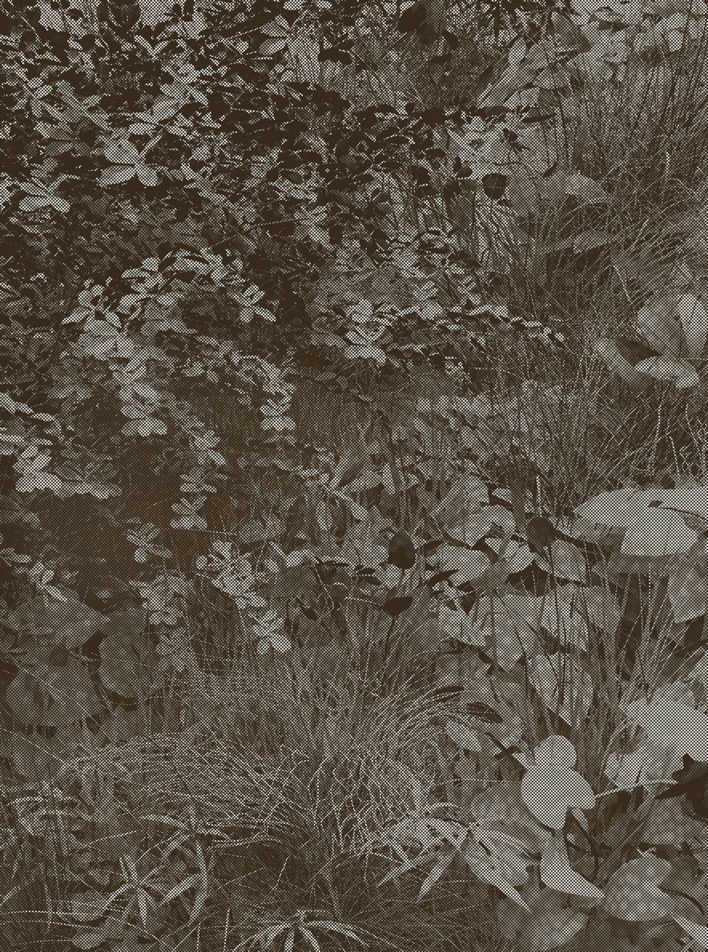 Philipp Schaerer, Zurich, Suisse - Forum d'architecture Fribourg